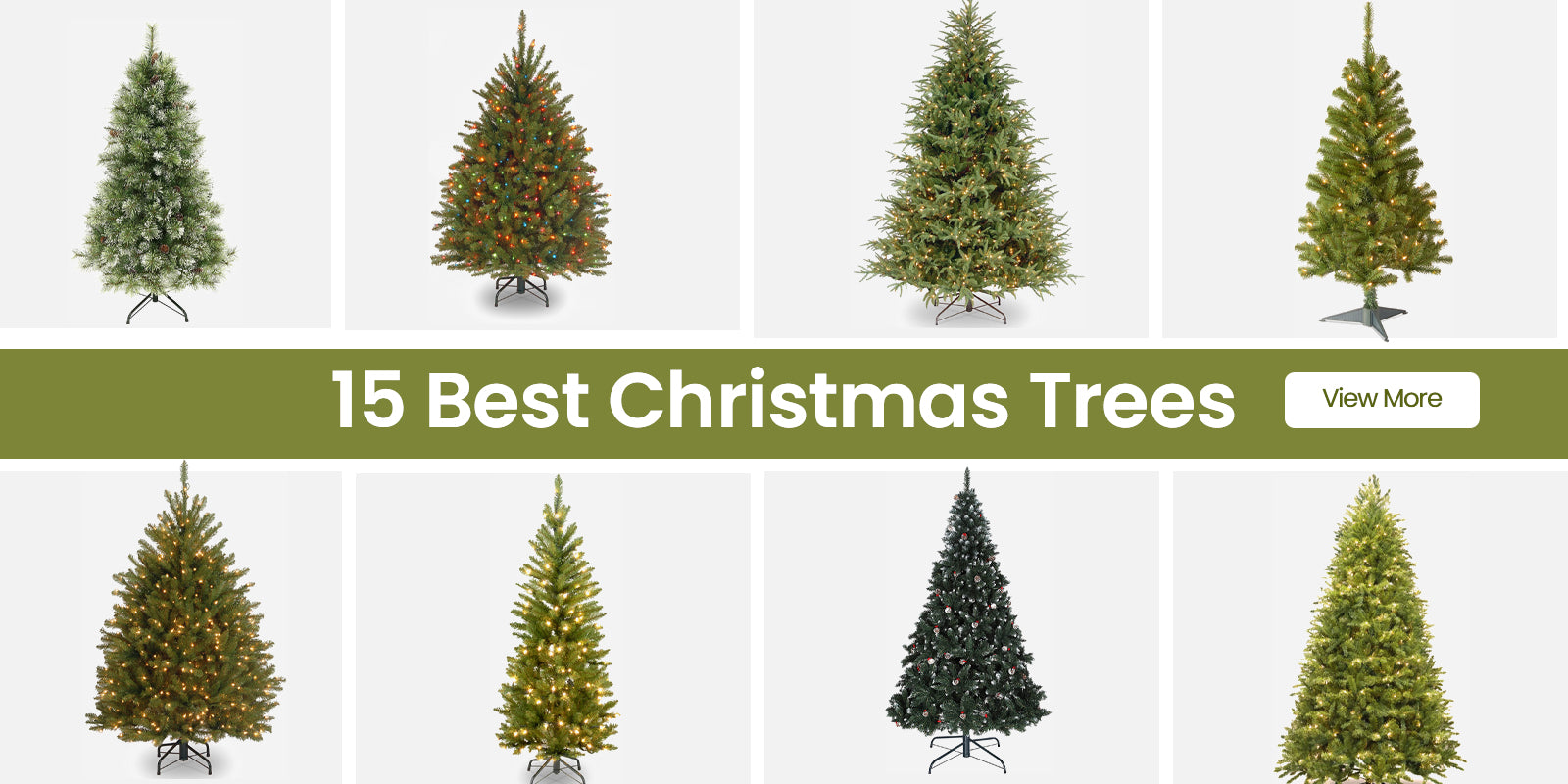 Types Of Christmas Trees