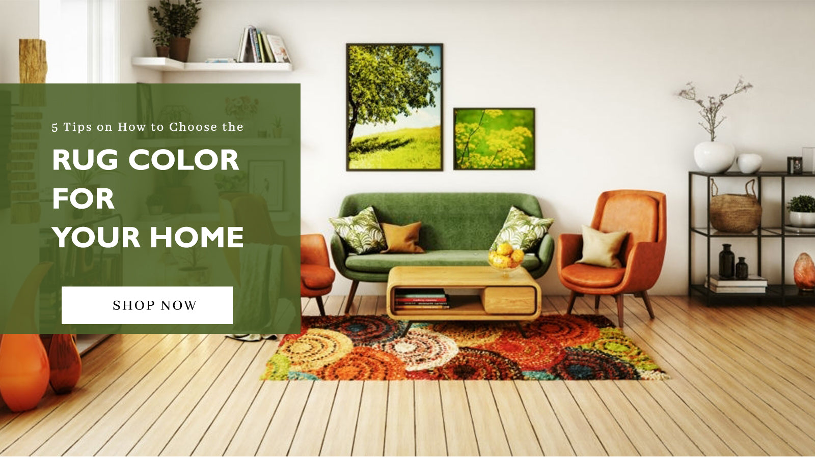 5 Tips on How to Choose the Best Rug Color for Your Home – RugKnots