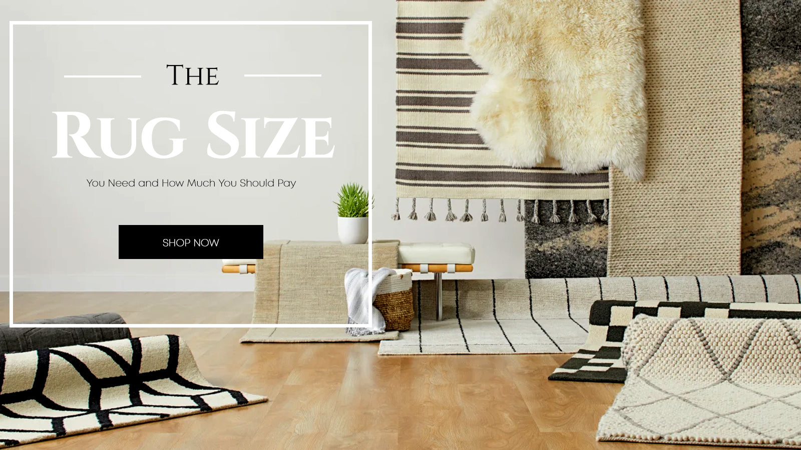 How Much You Should Pay the Right Size Rug? - RugKnots